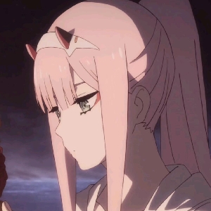 DU杜666