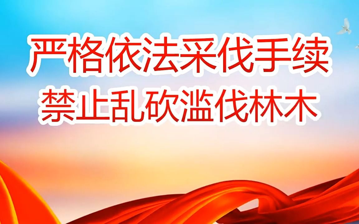 世界森林日严格依法采伐手续禁止乱砍乱伐林木宣传推广PPT模板