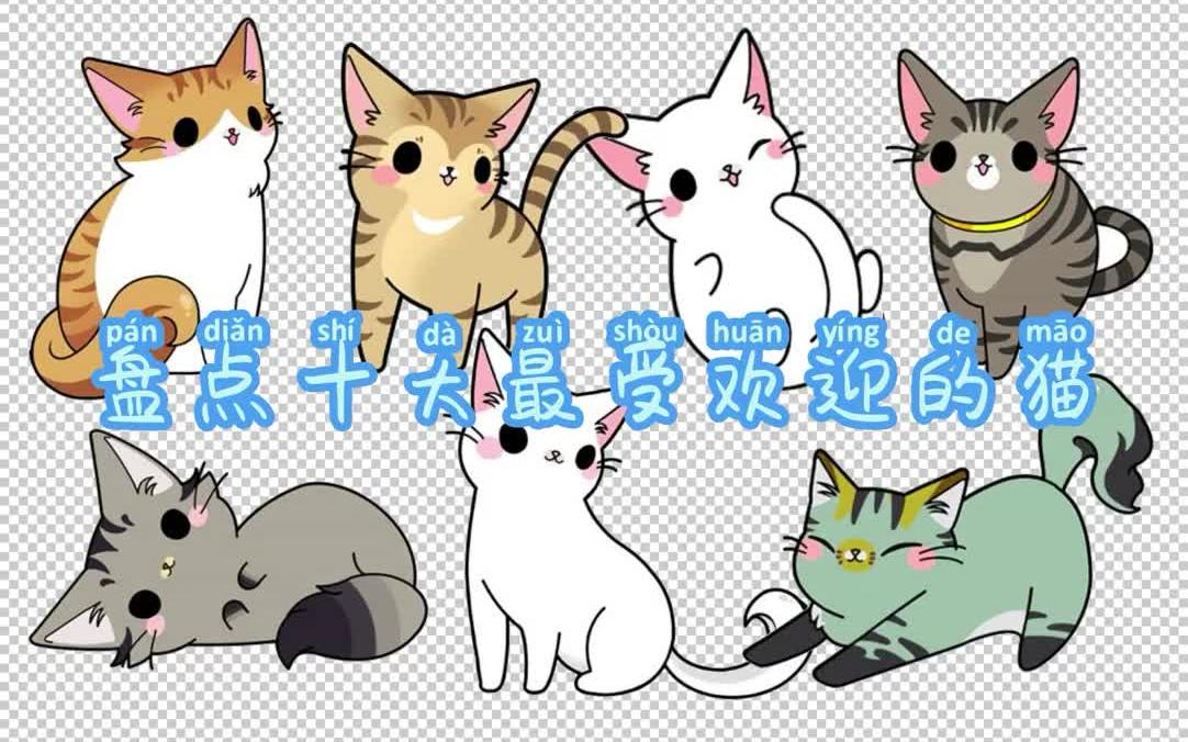 盘点十大最受欢迎的猫,快看看你喜欢的猫咪有没有上榜吧