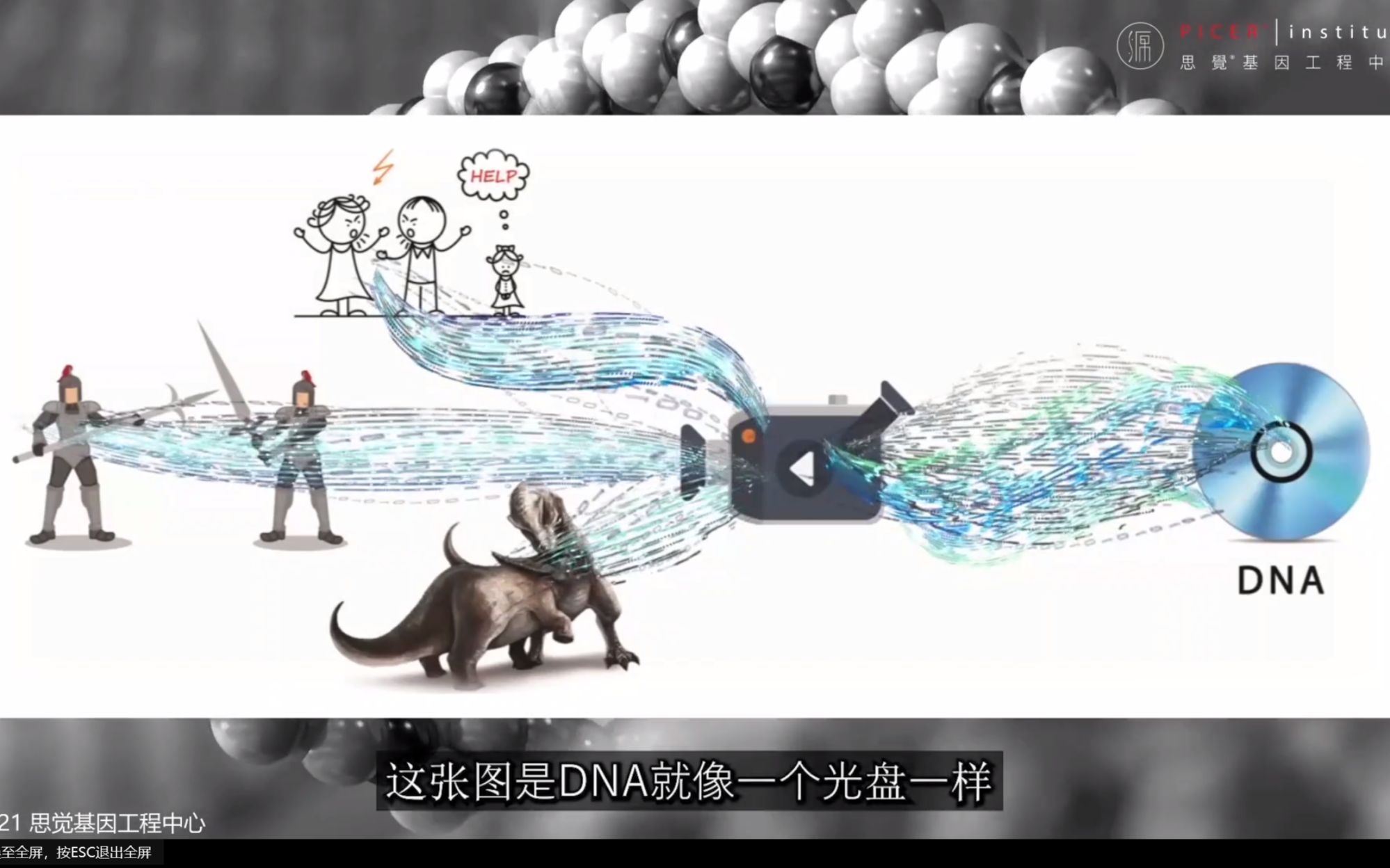 DNA就像光盘,记忆我们每一个时刻的记录——基因的角色(下)