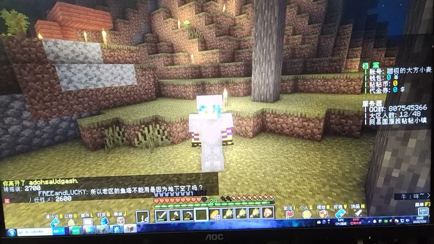 你们如果想玩,可以在电脑上下一个网易版的我的世界