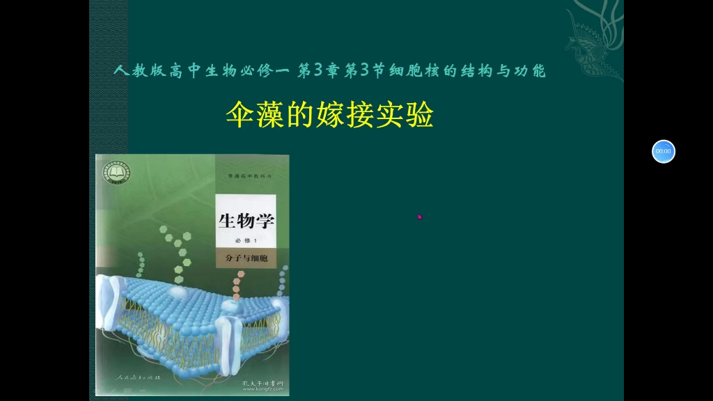 新教材伞藻的嫁接实验