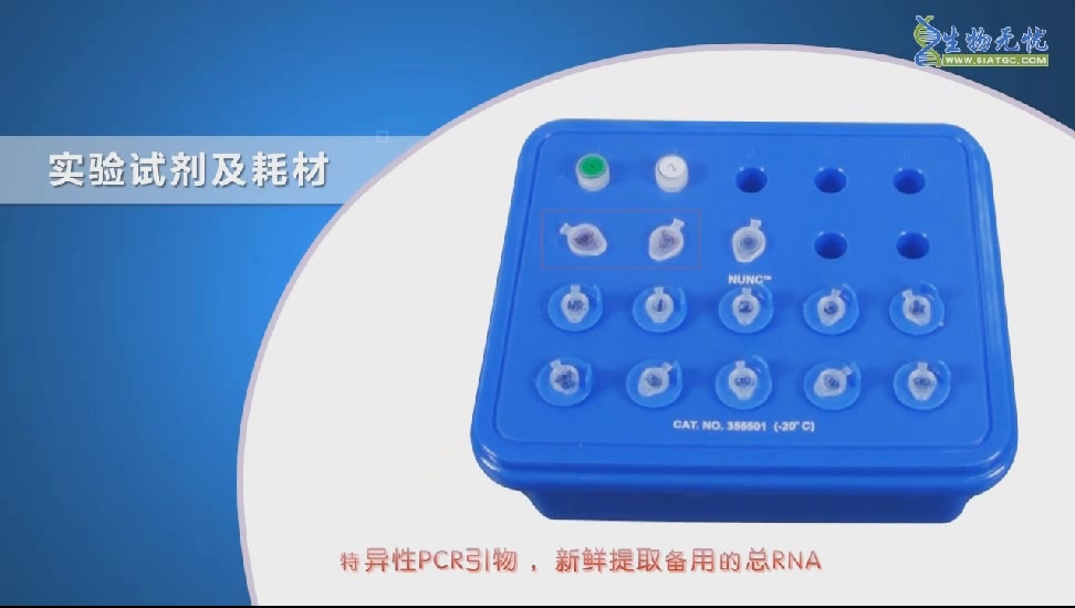 QT-PCR实验技术