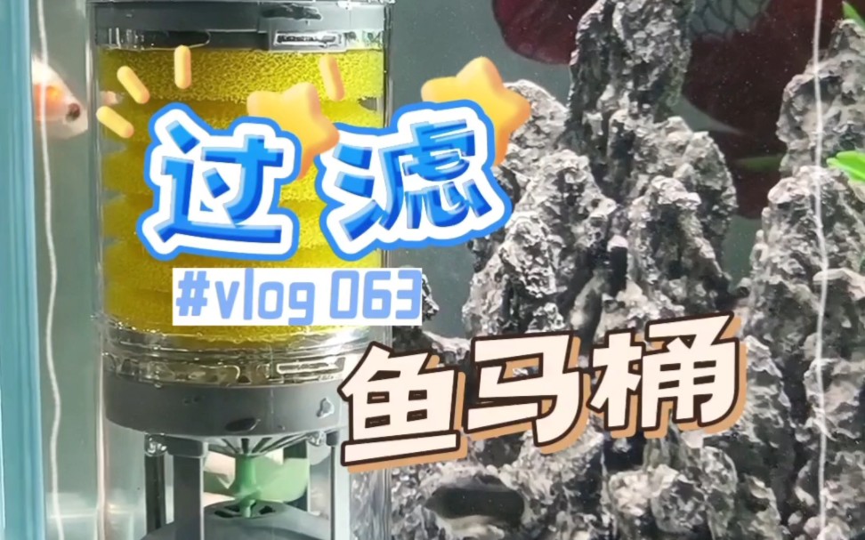 鱼马桶鱼粪便收集分离器多功能净水鱼缸过滤器系统免换增氧循环泵 #...