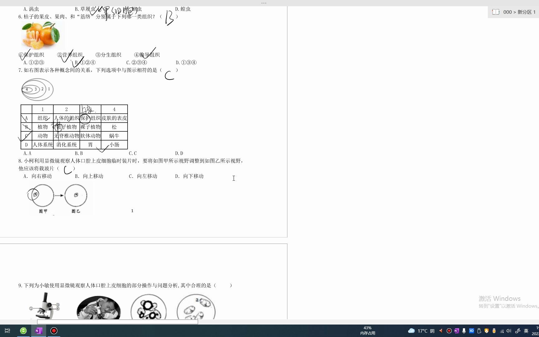 生命结构的层次