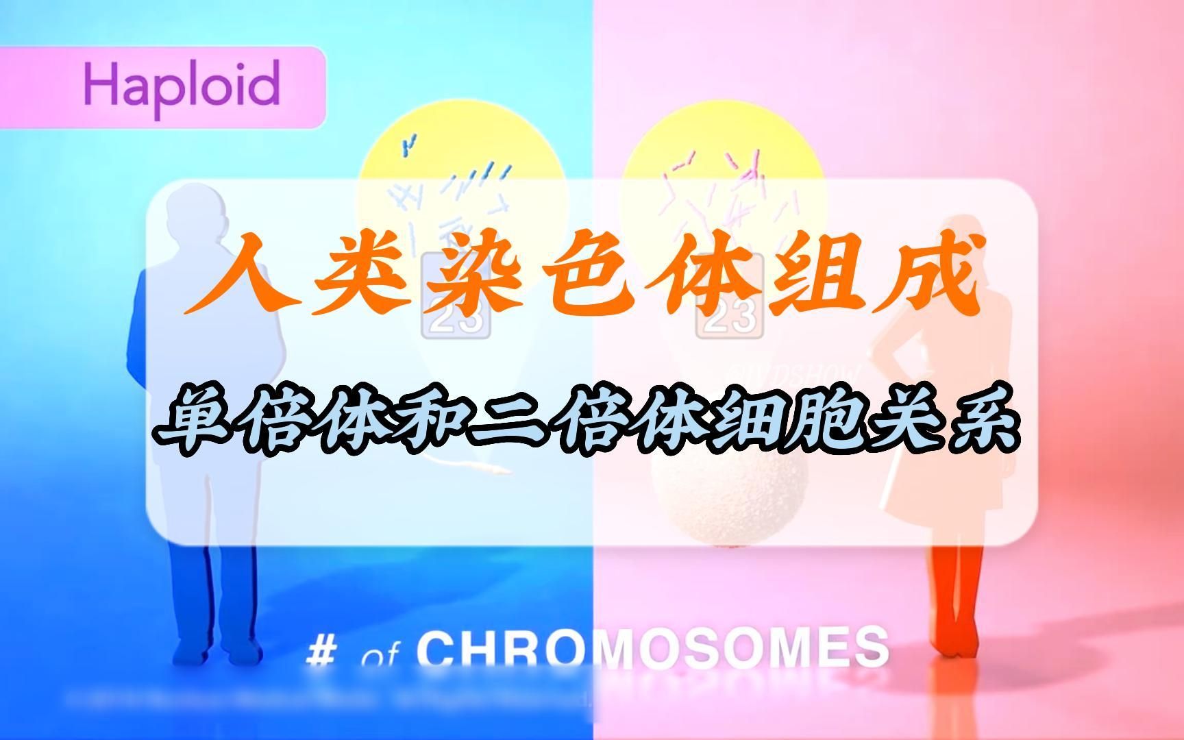 染色体是由什么组成的?单倍体和二倍体细胞区别?