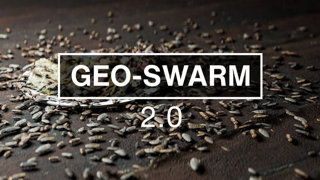 Blender虫群模拟!Geo-Swarm 2.0 高级虫群模拟鸟群飞蛾蝴蝶昆虫,支持...
