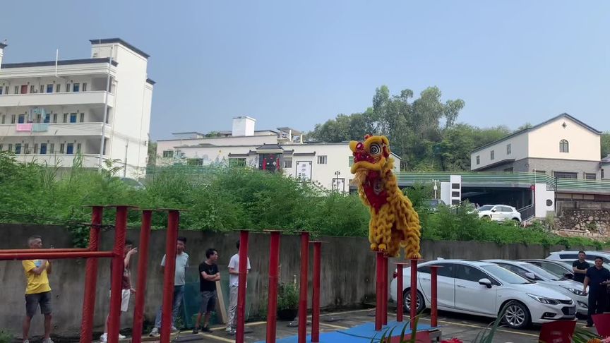 #醒狮文化 #醒狮传承 #大吉大利 #民间艺术表演 #开业庆典