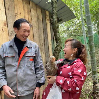 闲人和她的嬢嬢