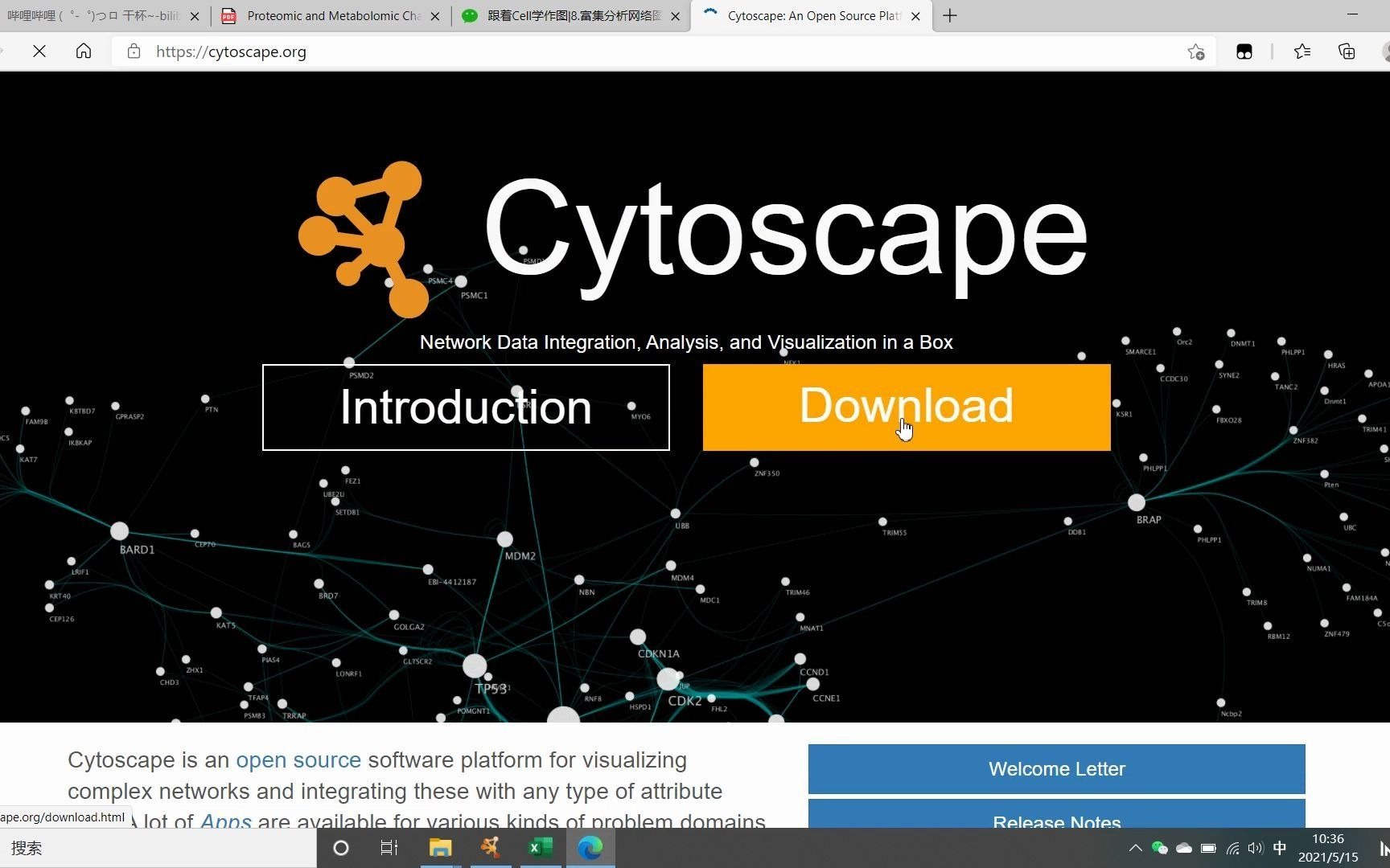 跟着Cell学作图|8.富集分析网络图(Cytoscape/ClueGO)