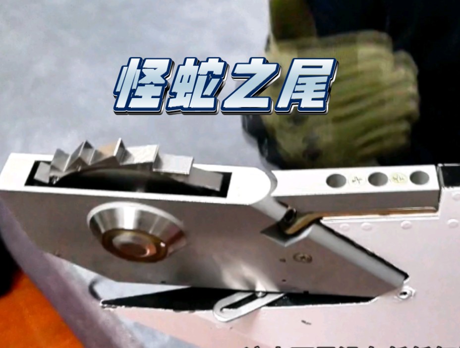 怪蛇-3导弹的陀螺舵,因为铰链斜置,所以他既是副翼也是舵