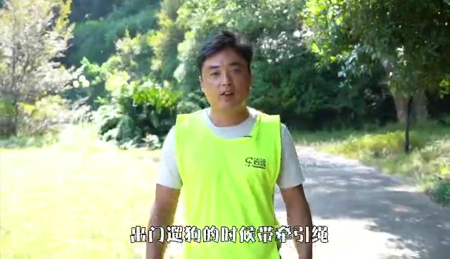 文明养犬宣传片