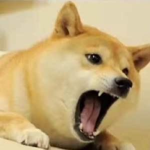 白旆Valen 