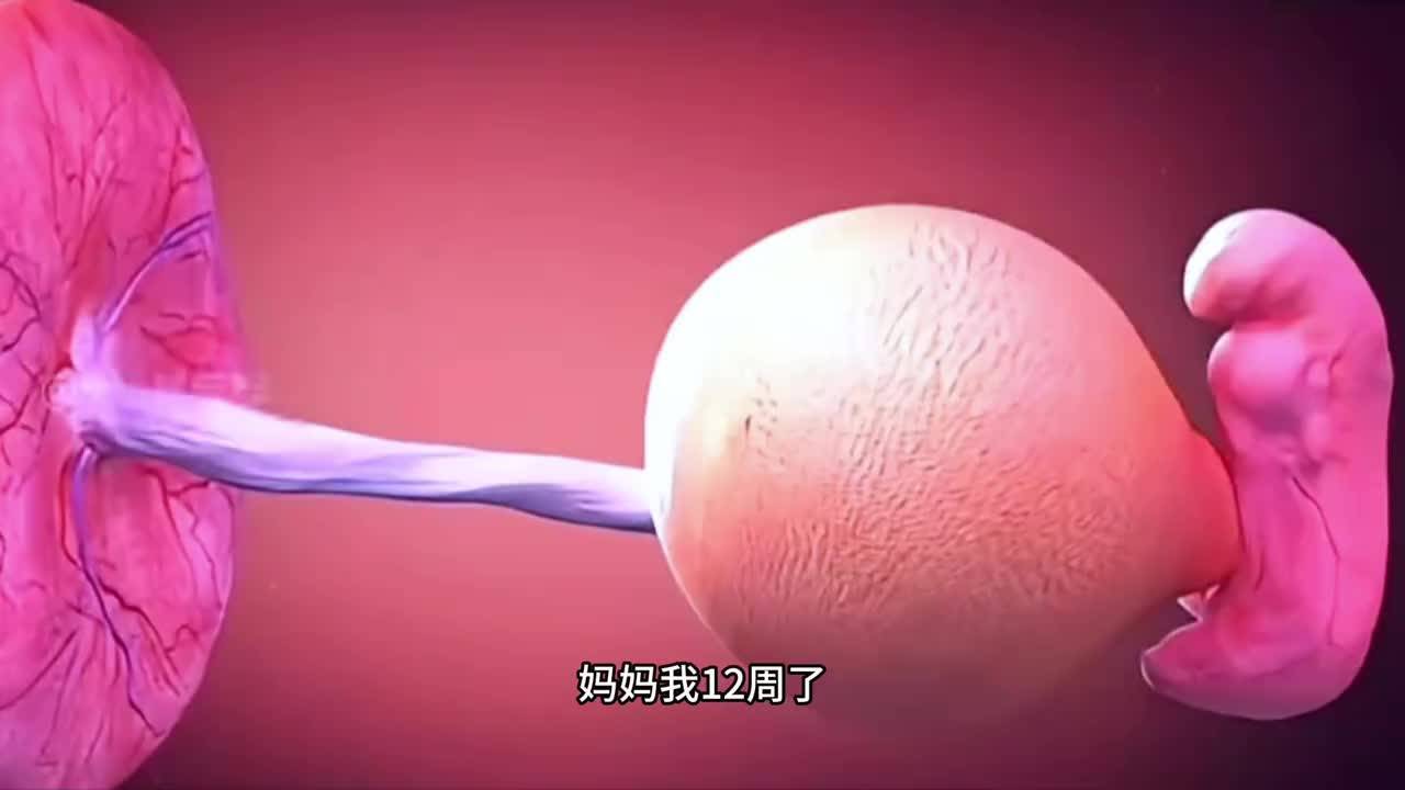 第一次怀孕,#孕妈 孕12周后一定要多摄入含铁的食物哦