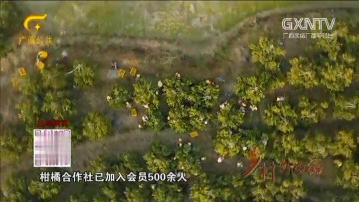 乡村新风貌:按现代农业管理理念,实现经营多元化生产全程机械化