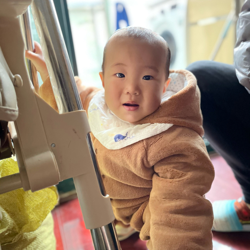 坨坨的女王陛下 