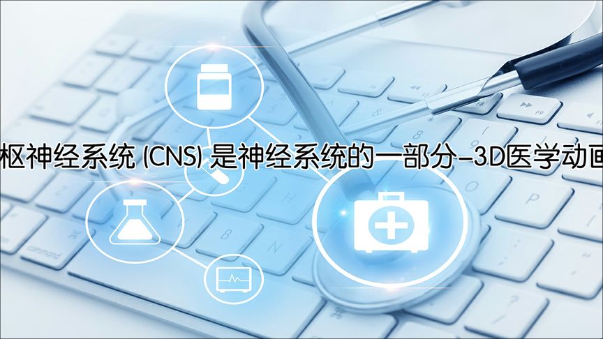 中枢神经系统 (CNS) 是神经系统的一部分-3D医学动画