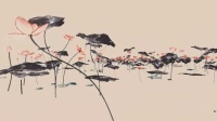 水墨动画小蝌蚪