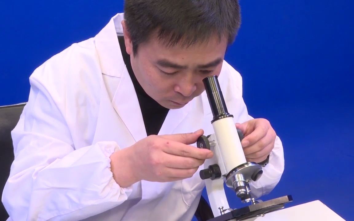 如何使用显微镜