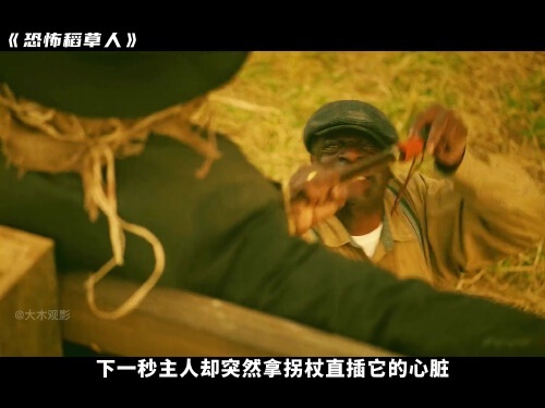 稻草人勤勤恳恳却被主人封印,直到一个男孩闯入农场