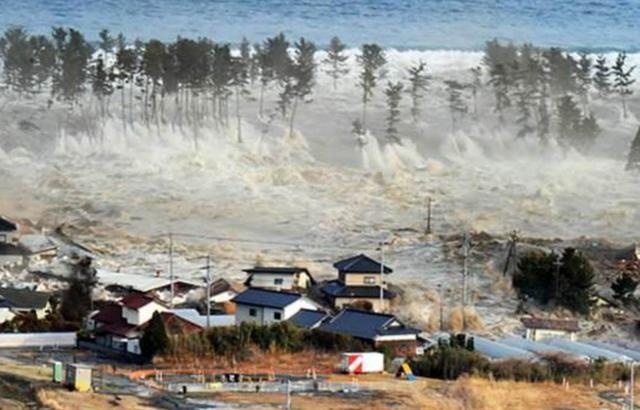 2004年印尼大海啸,海啸来袭之前,动物们都.