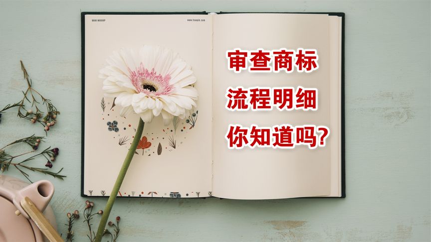 审查商标有哪些流程你知道吗?掌握3点轻松学会