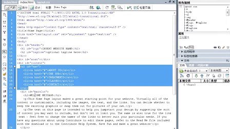 Web标准网页设计视频教程4