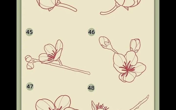 50款procreate笔刷和ps笔刷手绘樱花桃花刺青线稿图案插画