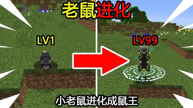 我的世界:老鼠进化!每吃10个腐肉进化一次!该如何打败鸡王