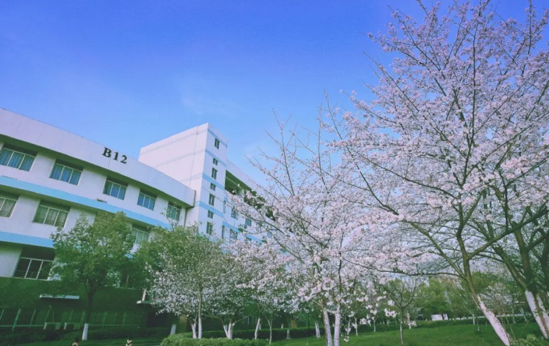 南京中医药大学 宣传片