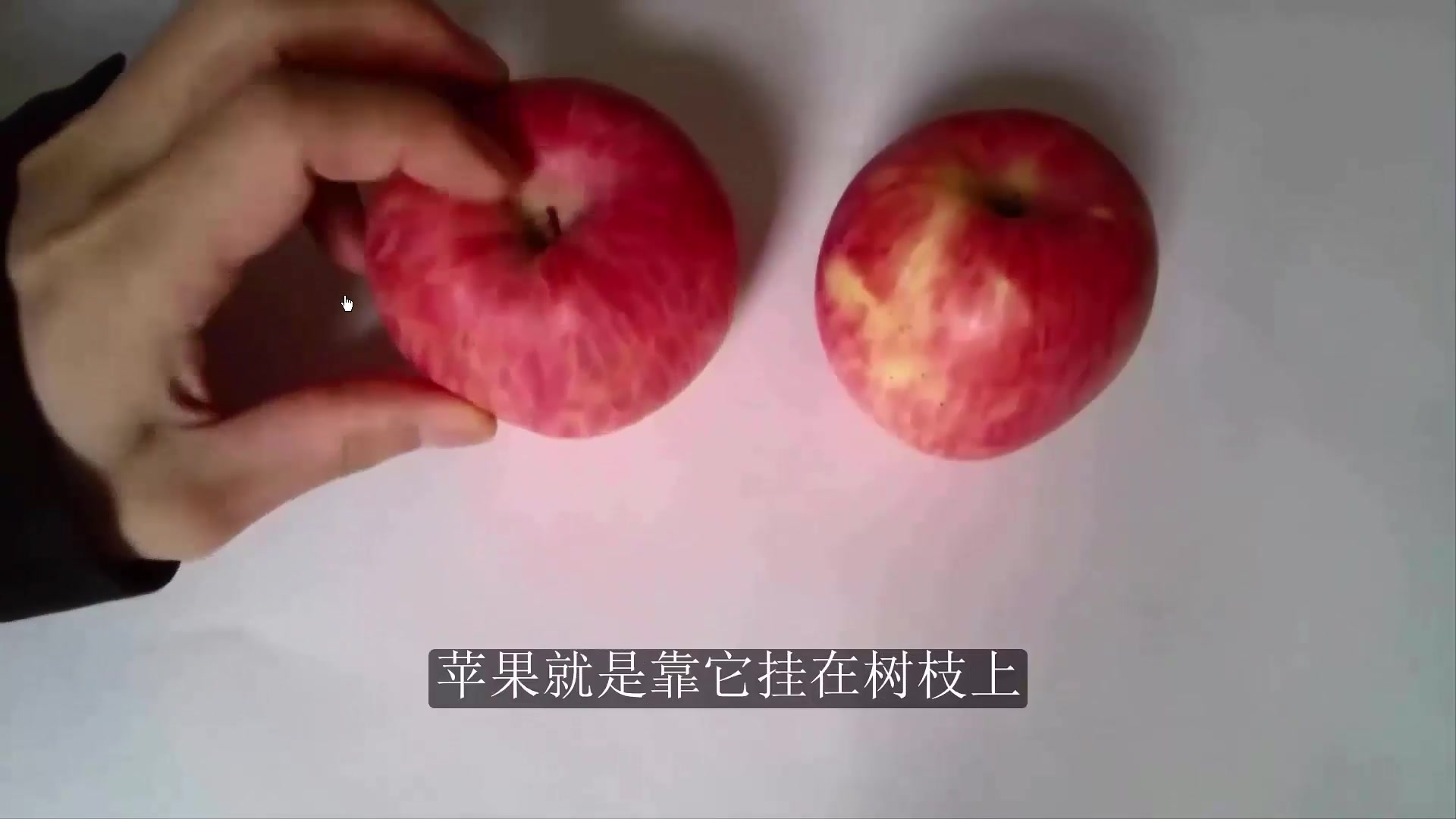 刘坚强儿童学《儿童简笔画》2-1 苹果