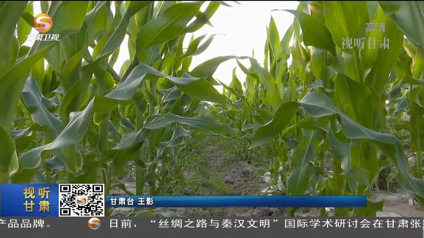 甘肃耕地占用税适用税额确定 9月1日起施行