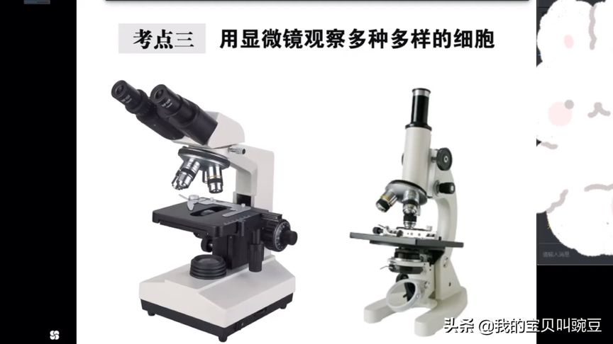 高中生物一轮复习 第一讲走进细胞 考点三用显微镜观察多种多样的