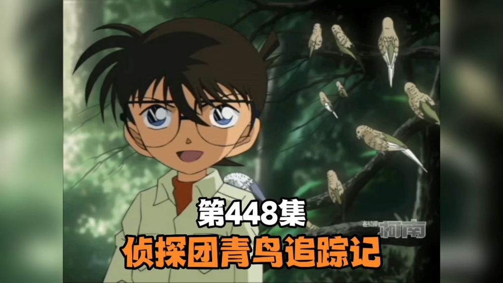 【名侦探柯南全集解说】侦探团夸张推理,真相却如此温暖