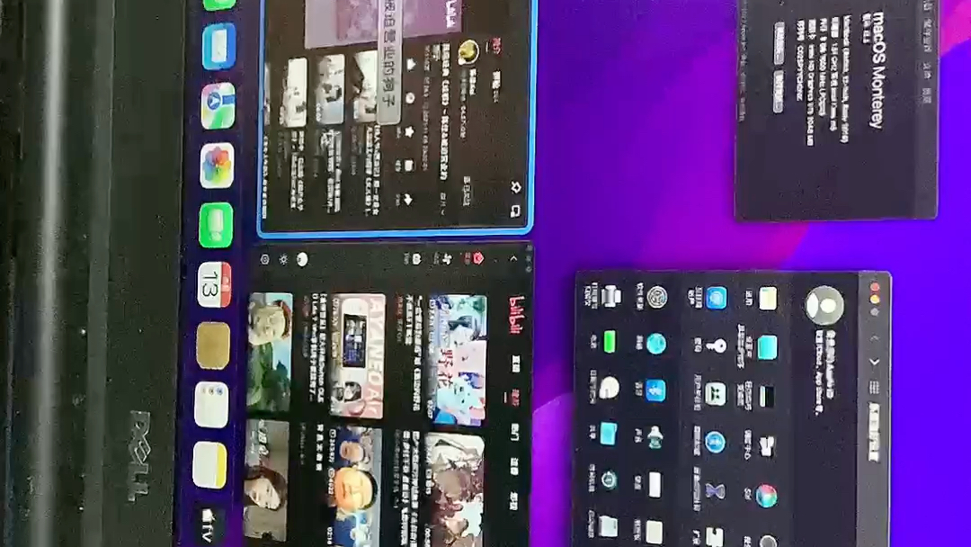戴尔Latitude 13 7370笔记本 黑苹果MacOS Monterey12.5 分享