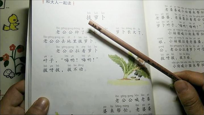 陪孩子上学读书从一年级开始,语文园地五——拔萝卜