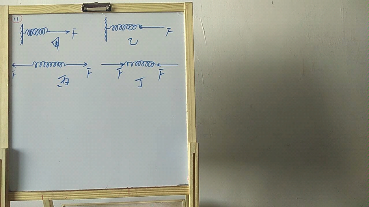 【练习讲解】弹力弹簧测力计(二)