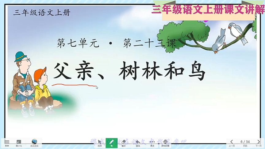 三年级语文上册《父亲、树林和鸟》课文讲解,人与自然和谐共处