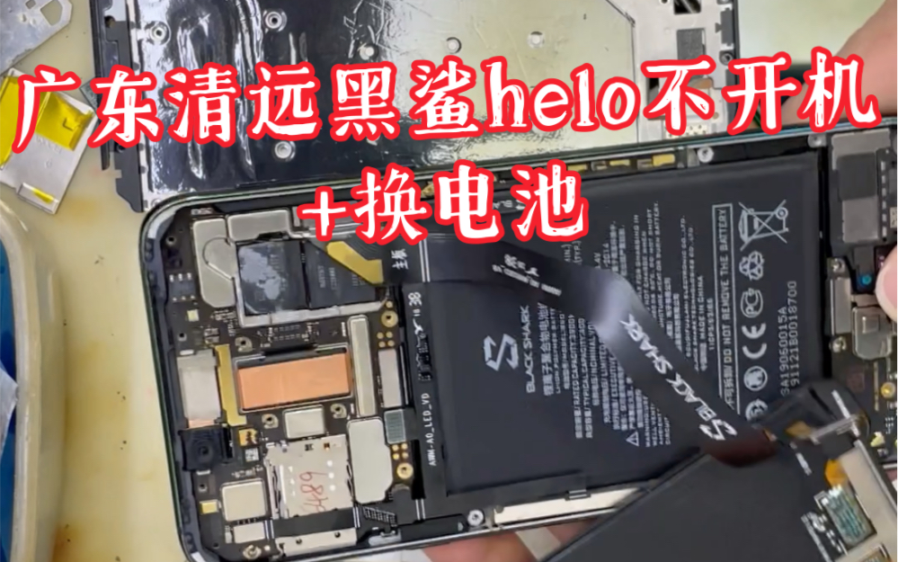 广东清远黑鲨helo不开机+换电池,机主是个学生 不开机机主父亲以为...