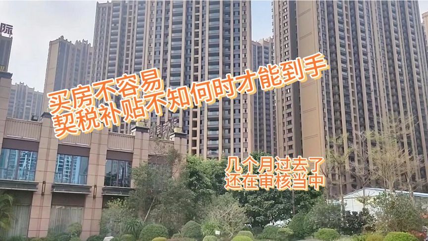 盛哥到贵港税务局咨询:契税补贴何时可以拿到,结果是审核当中