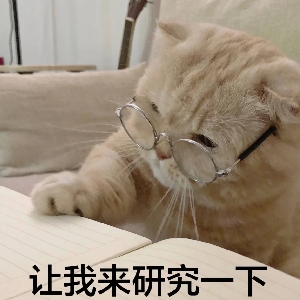 星光就要熄灭 
