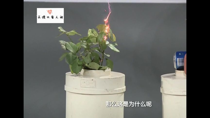 模拟闪电实验,看看闪电容易劈谁,雷雨天不要跑大树下哦