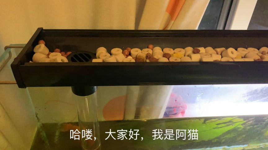 【鱼缸过滤系统下篇】滴流盒使用+个人总结