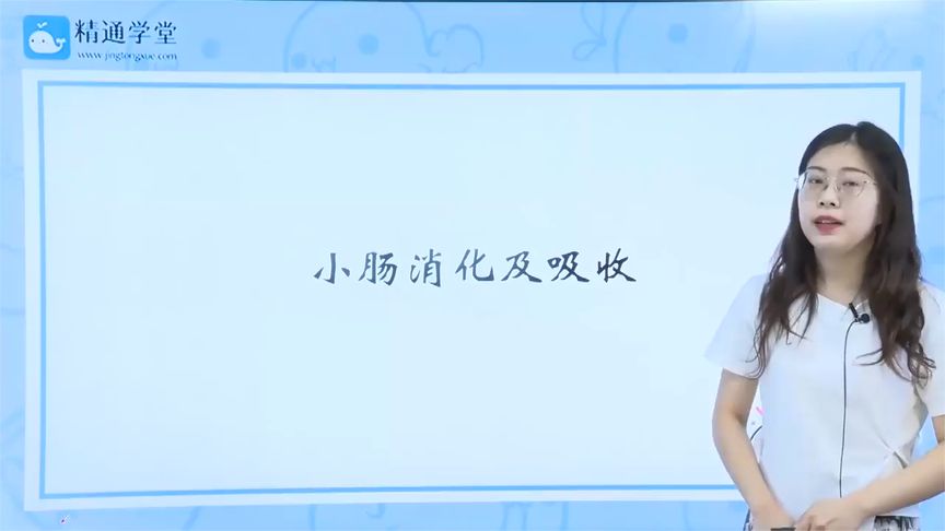 江苏专转本生理学-小肠的消化和吸收