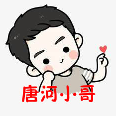 唐河小哥 
