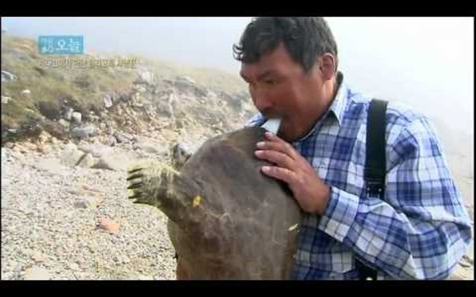 揭秘:因纽特人强悍捕鲸全程,方法是如此的原始~@红烧油兔字幕组