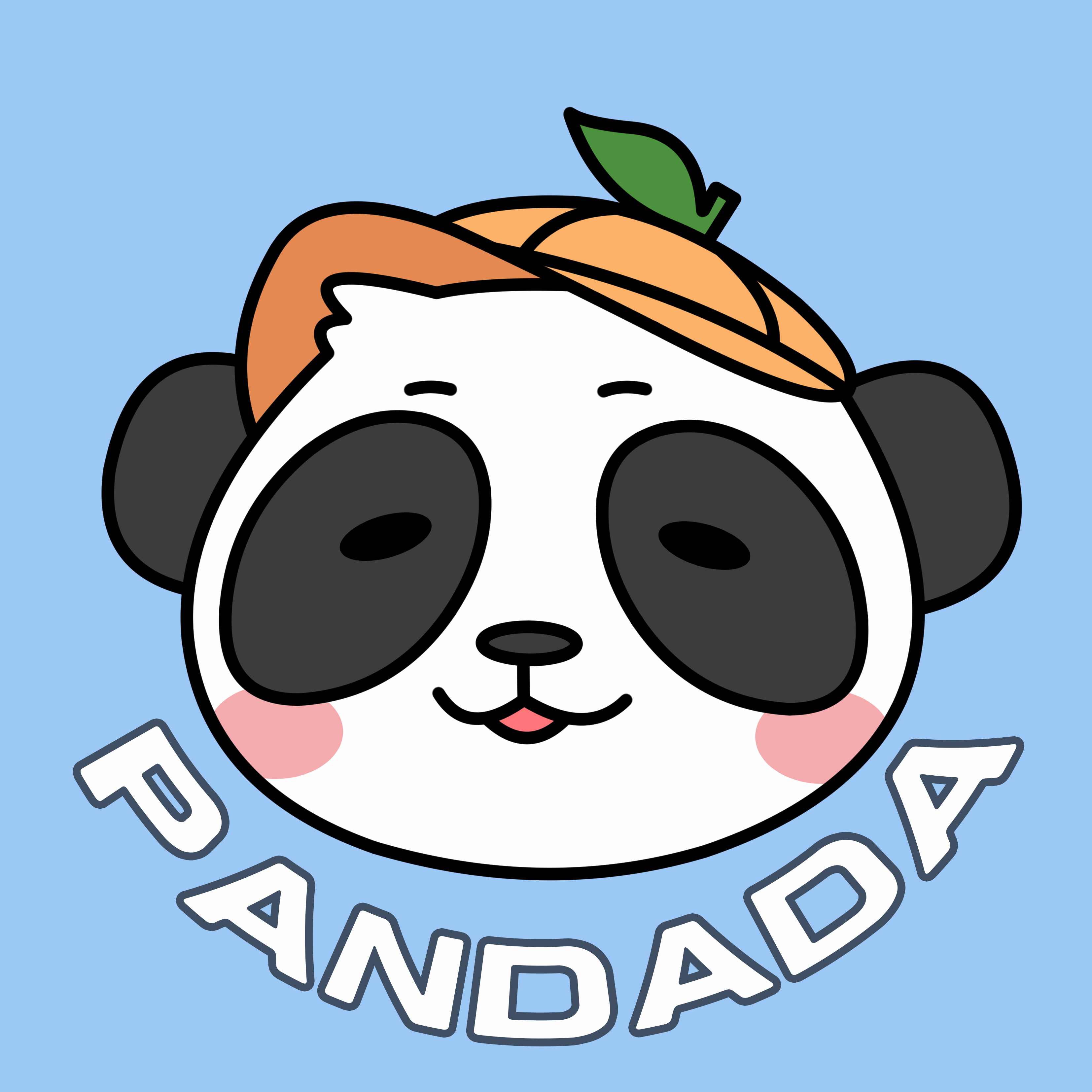 Pandada跟拍员 