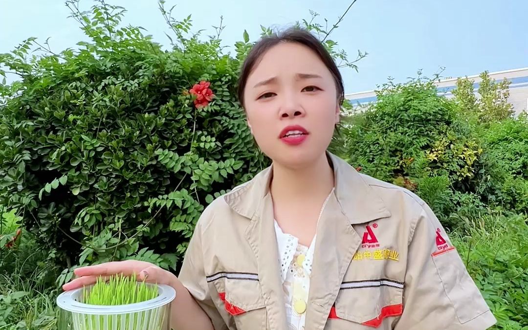 矿源黄腐酸钾复合肥肥料生根效果好,营养全面效果明显!