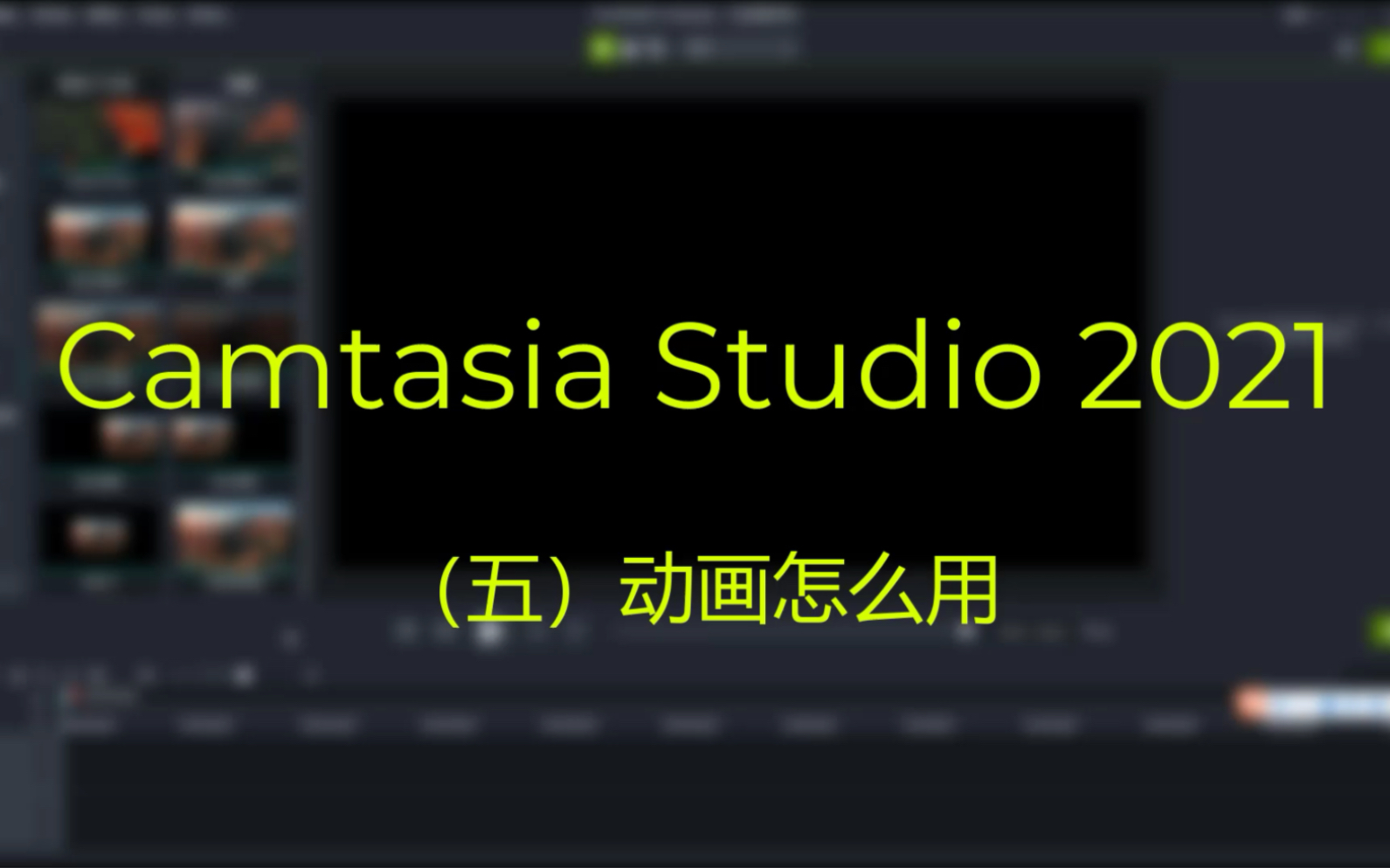 camtasia studio(动画怎么用)