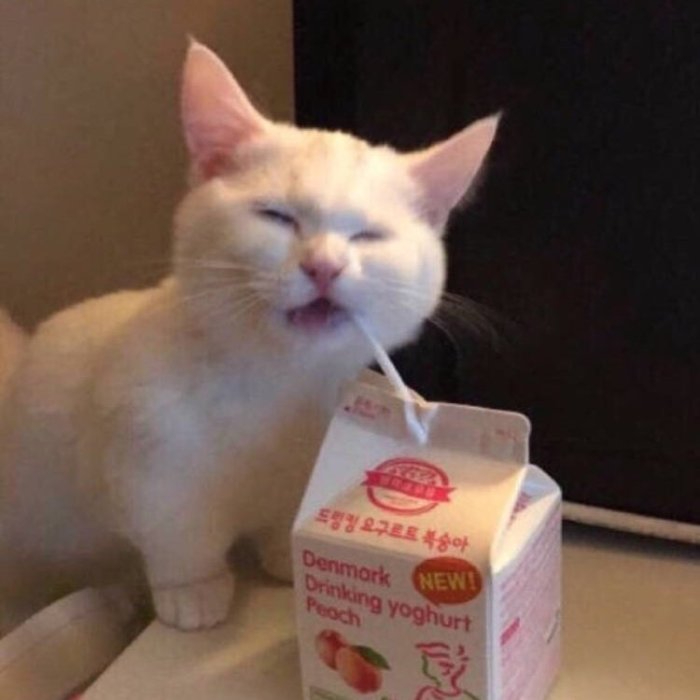 趋势报告 